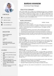 Resume Template – CV Writer BD