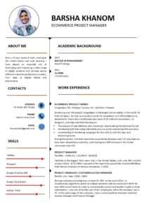 Resume Template – CV Writer BD